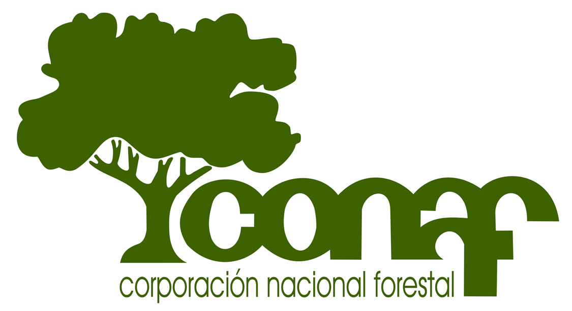 Asesoría para la transversalización del enfoque de género en la gestión ...